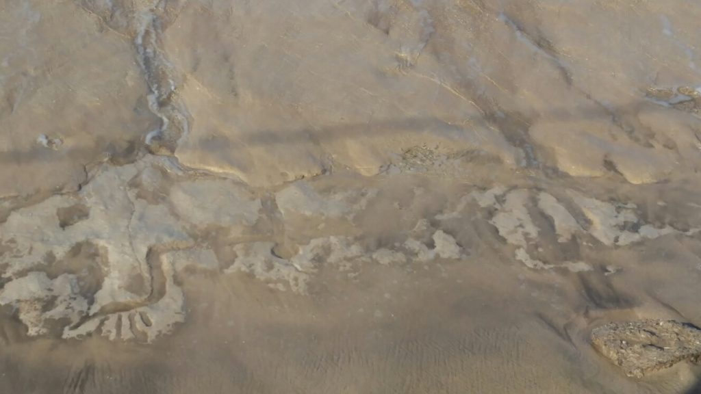 2 Men From Texas Spot something unusual At The Hawaiian Beach that ...